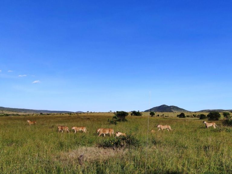 Planning a trip to Kenya- Hakuna Matata ;) | Closet Buddies